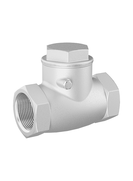 Beaver Small Bore Inline Spring Check Valve 54 Bar | Beaver Process ...