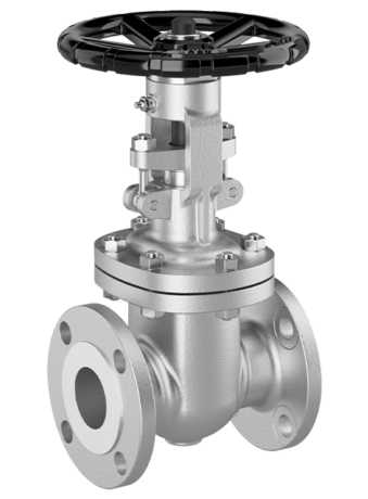 Gate Valves | Beaver Process Equipment